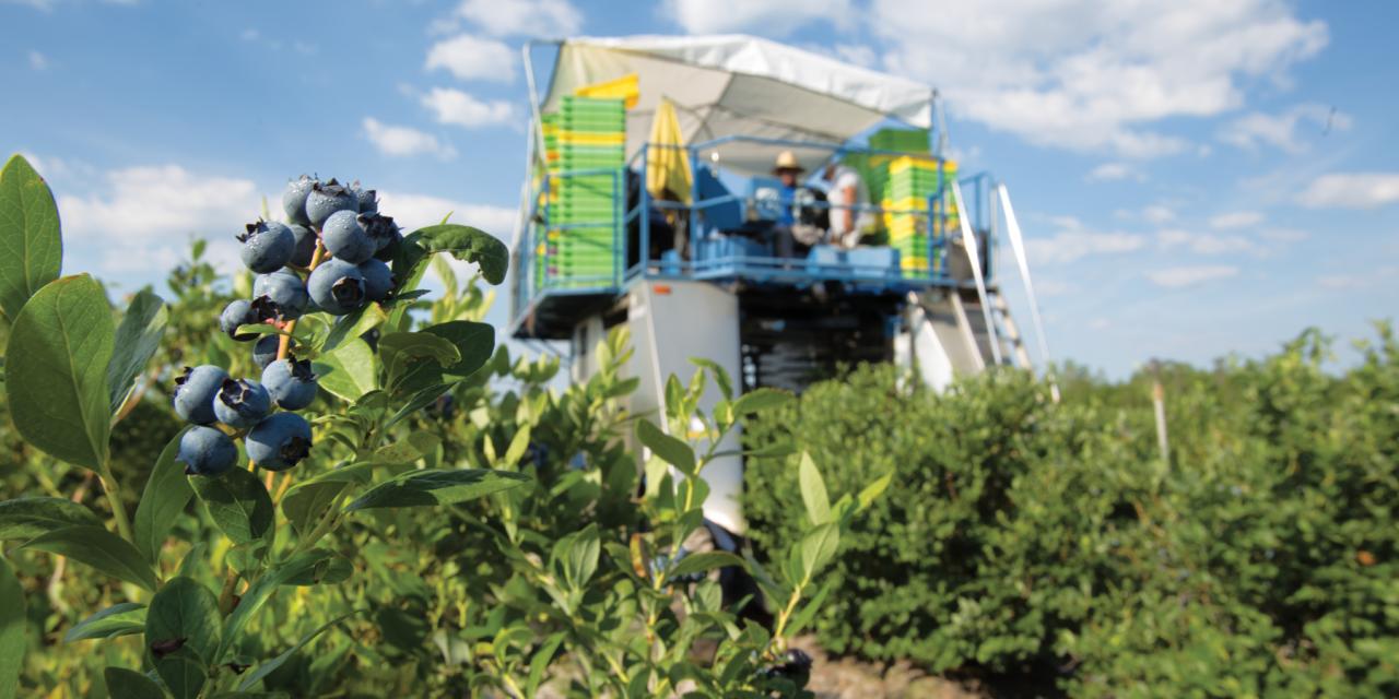 Produce Safety | Georgia Department of Agriculture