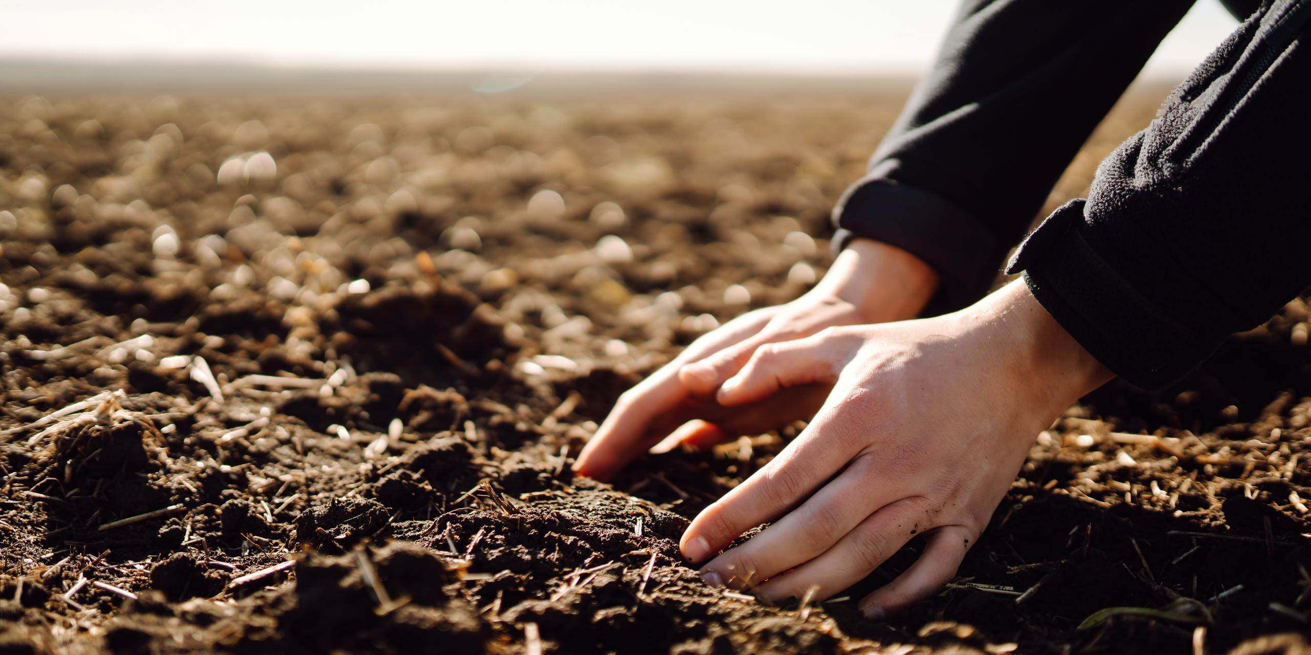 Soil & Fertilizers | Georgia Department of Agriculture