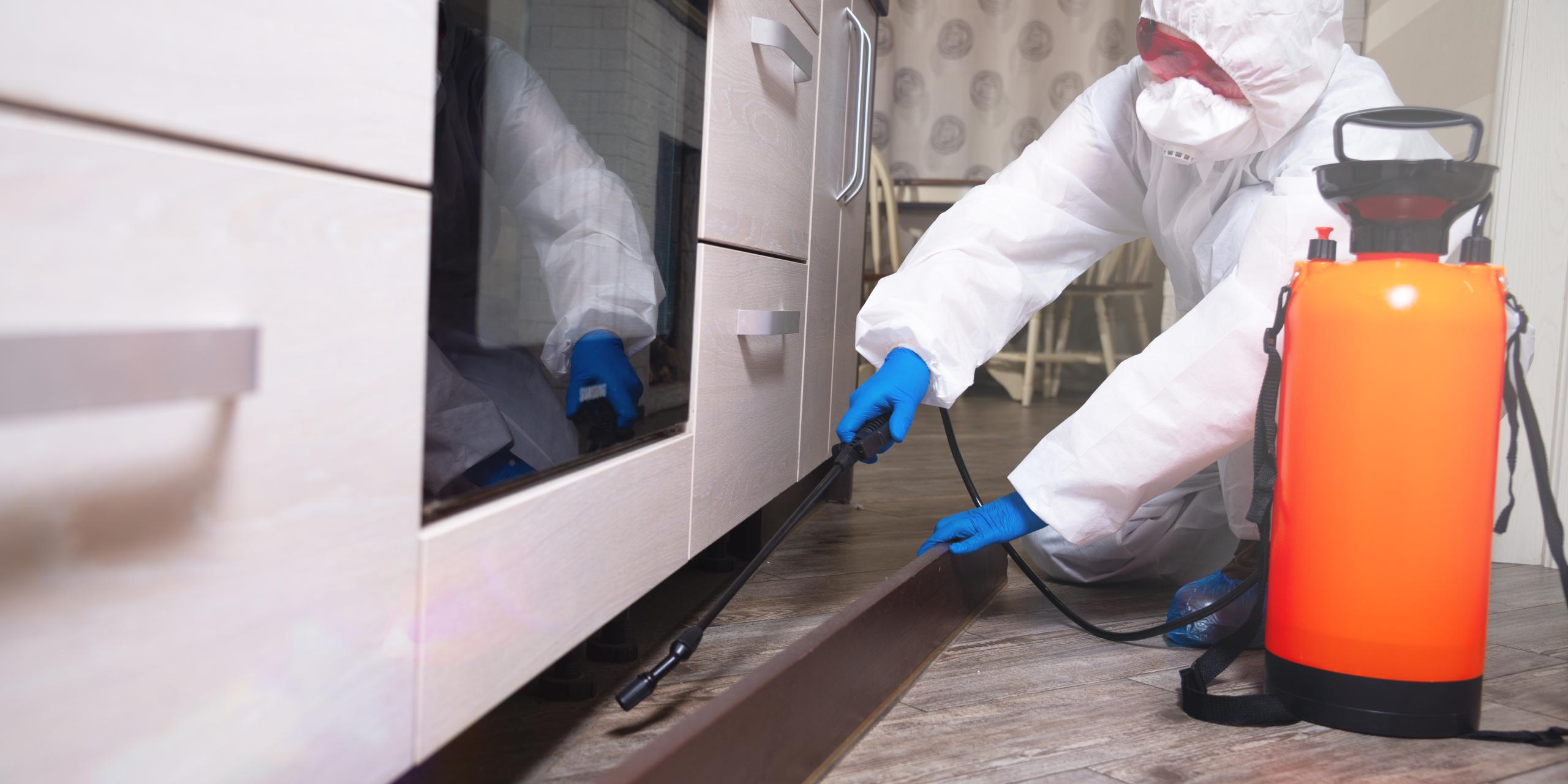 Structural Pest Control | Georgia Department of Agriculture