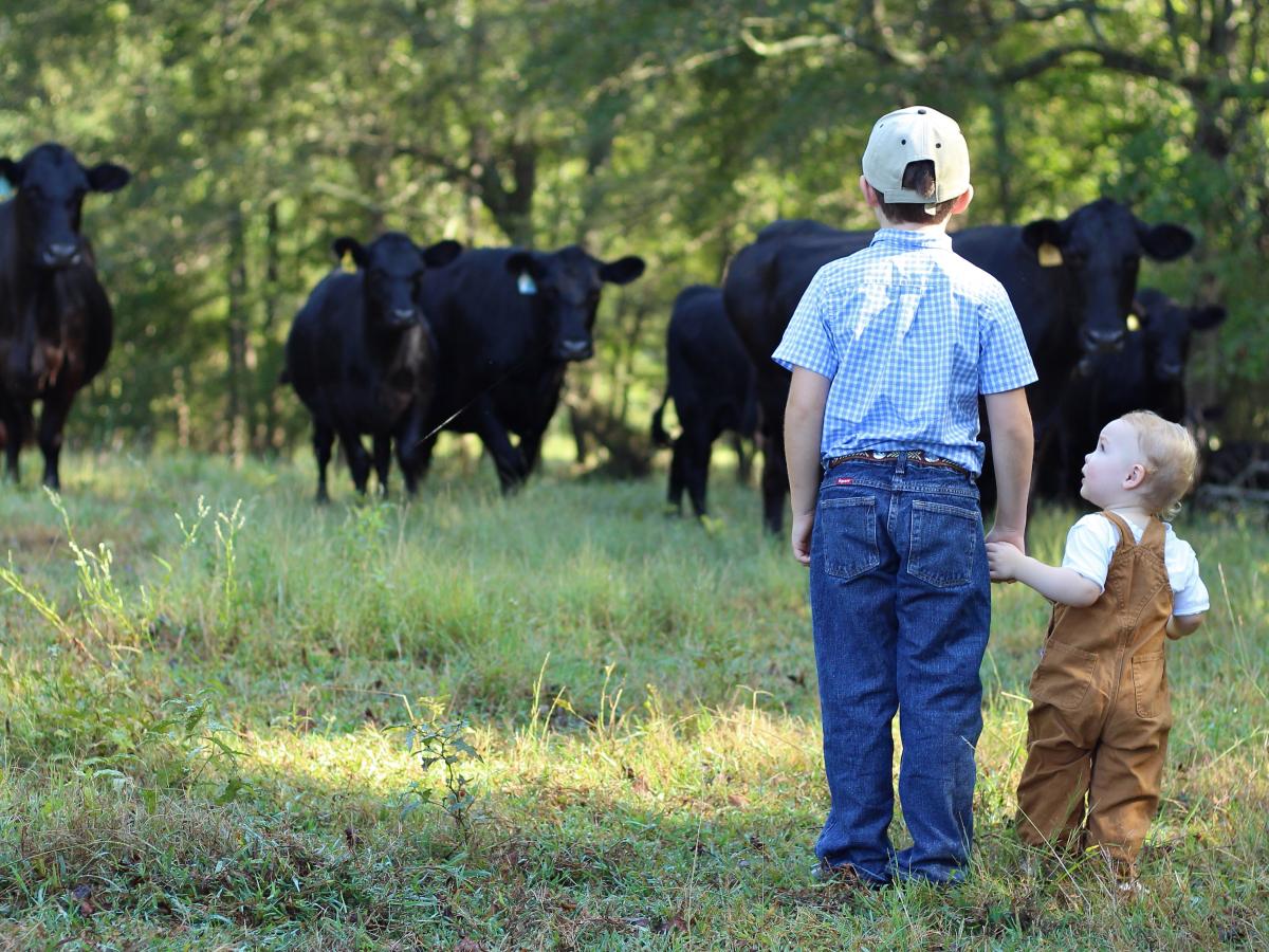 Animals | Georgia Department of Agriculture